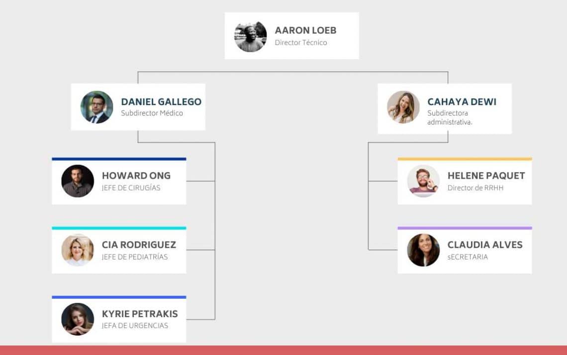 Organigrama Vertical de una Empresa ¿Cómo hacerlo? Ejemplos