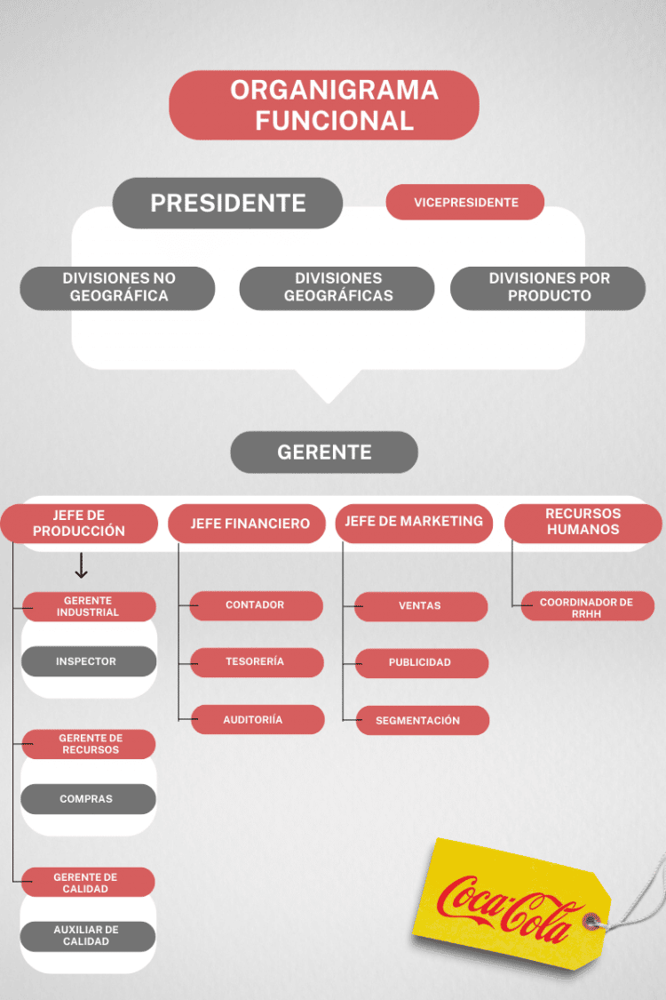 Organigrama de Coca Cola: organización y divisiones Organigrama de Coca Cola: organización y divisiones